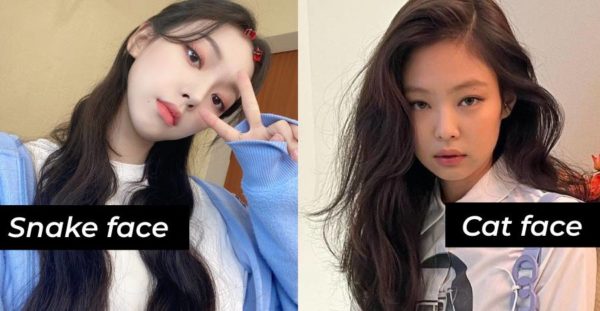 What’s Your Animal Face Type?Take this 4 Animal Face Test to Find Out!